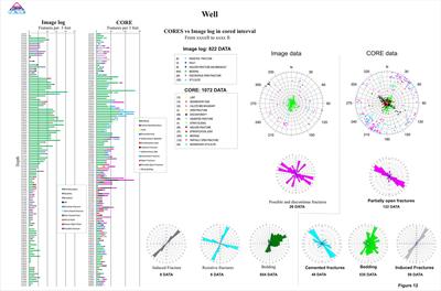 Corias: core vs image log